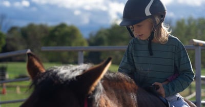 What is hippotherapy?